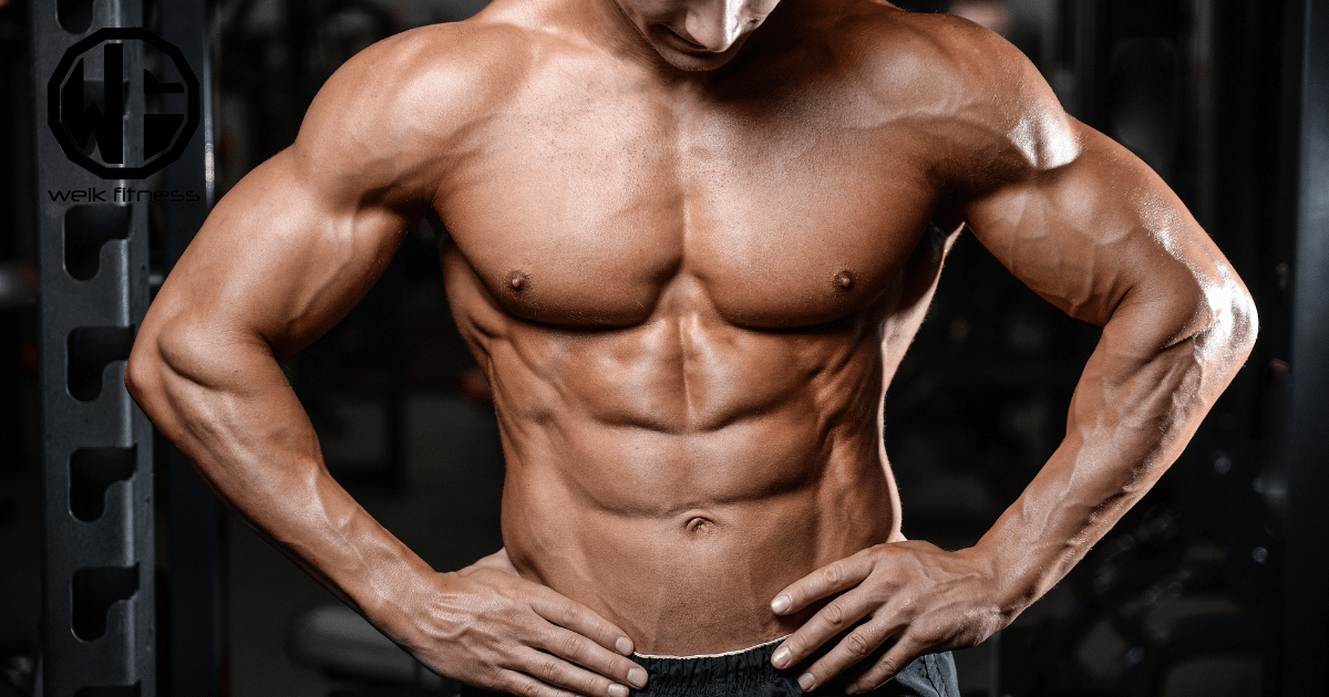 Focus on These 3 Things for Guaranteed Muscle Gains