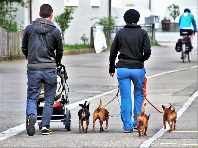 7 Reasons Why You Should Be Taking a Daily Walk