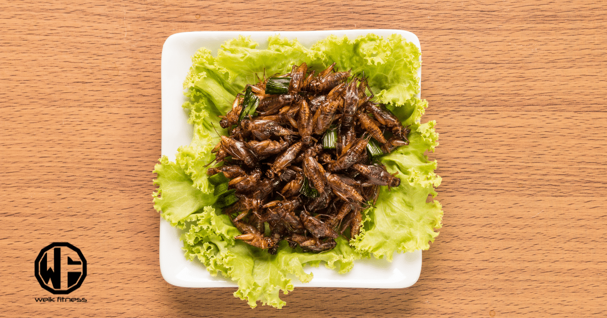 Does It “Bug” You That Insect Ingredients Are in Your Foods?