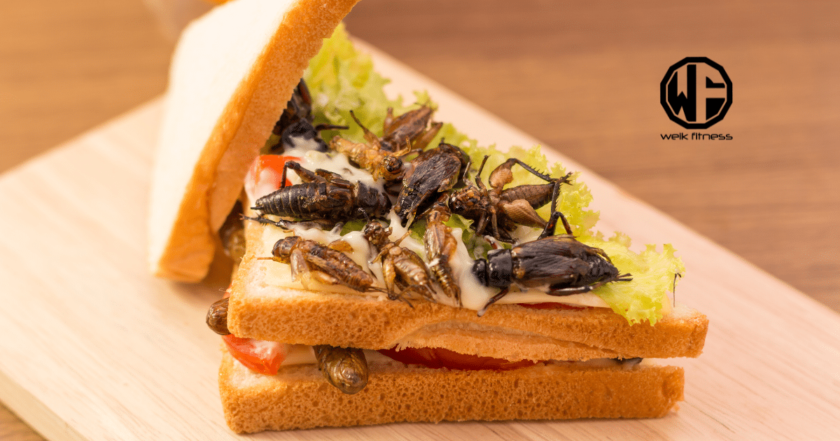 Does It “Bug” You That Insect Ingredients Are in Your Foods?