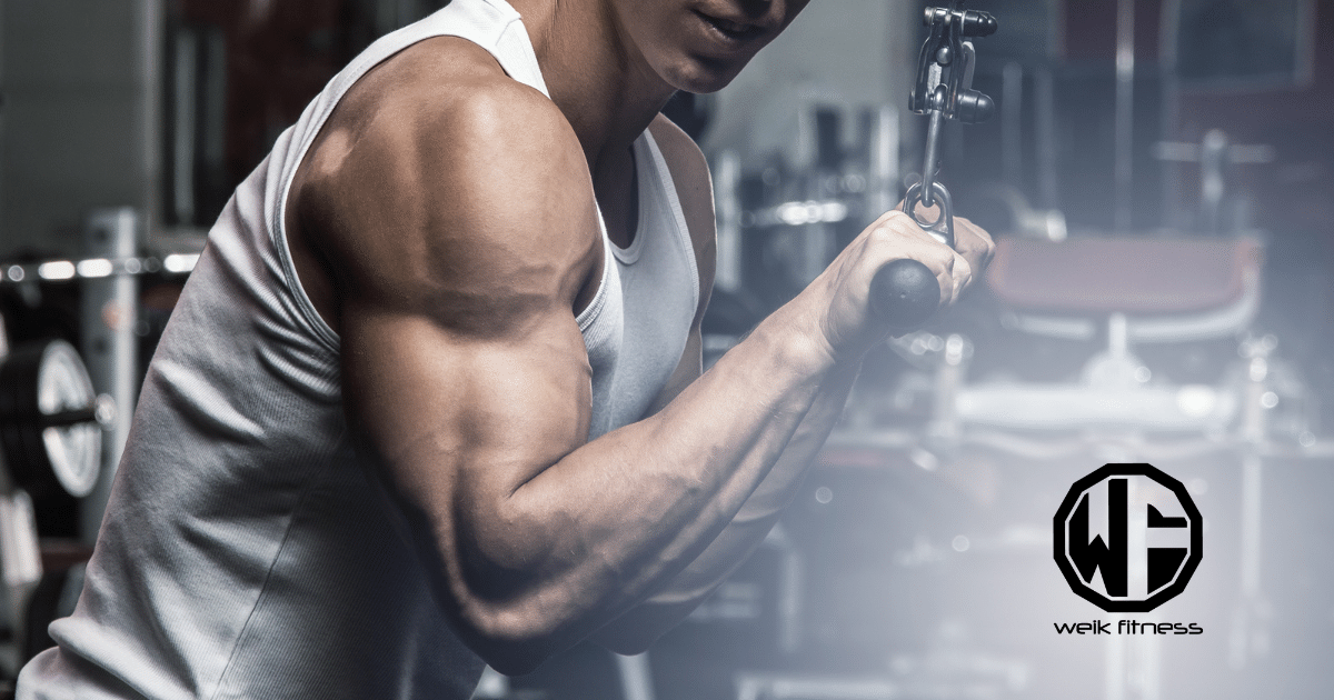 The Best Tricep Cable Workouts & Exercises for Big Arms