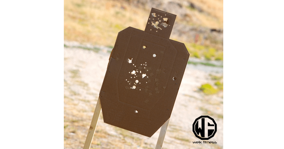 Dry Fire Cardboard Targets: Shooting Targets Safely at Home