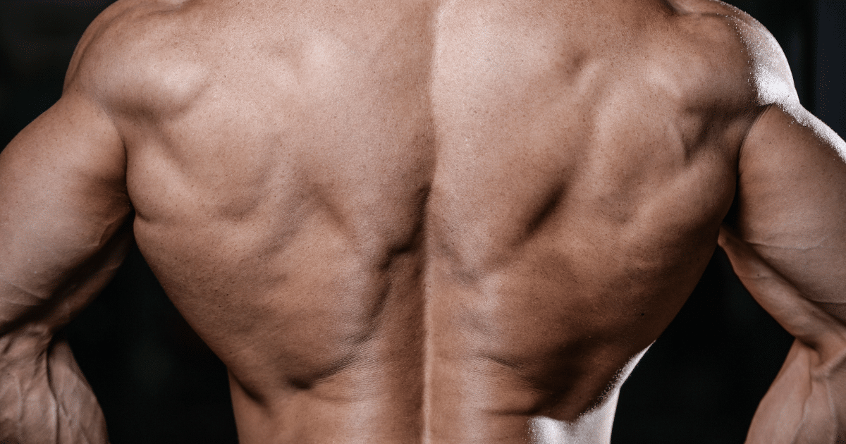 Is DL185 the Ultimate Strength and Muscle Builder?