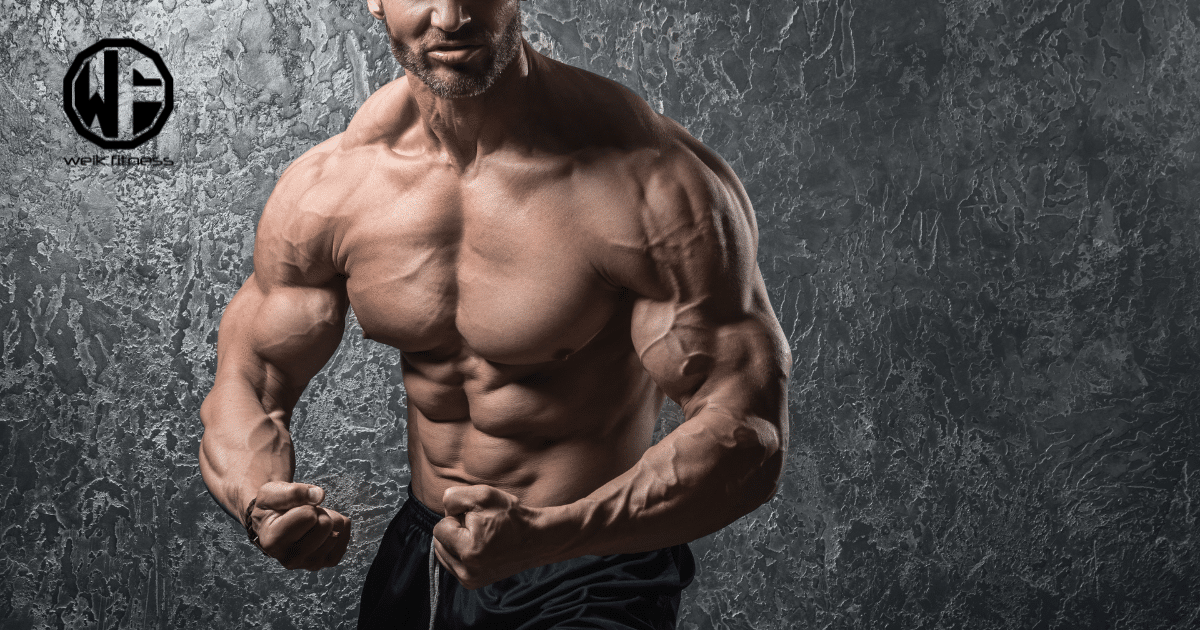 Is DL185 the Ultimate Strength and Muscle Builder?