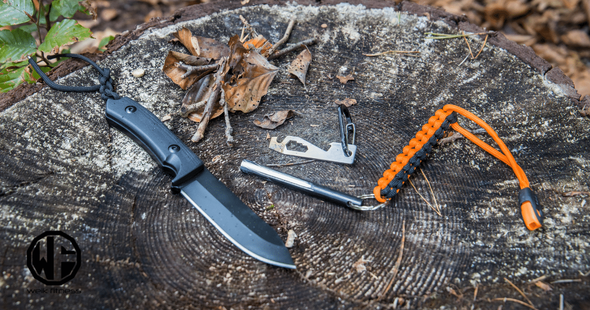 Bushcraft Skills: Surviving and Thriving in the Great Outdoors