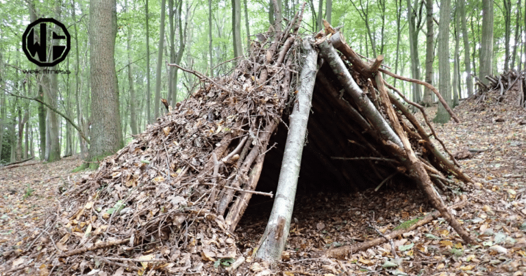 Bushcraft Skills: Surviving and Thriving in the Great Outdoors