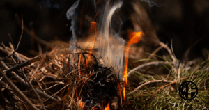 How To Start a Fire: A Beginner’s Guide To Outdoor Skills